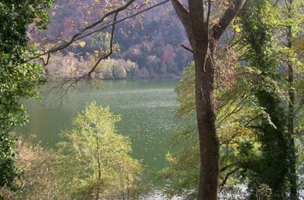 Mysterious Lucania - HubPages