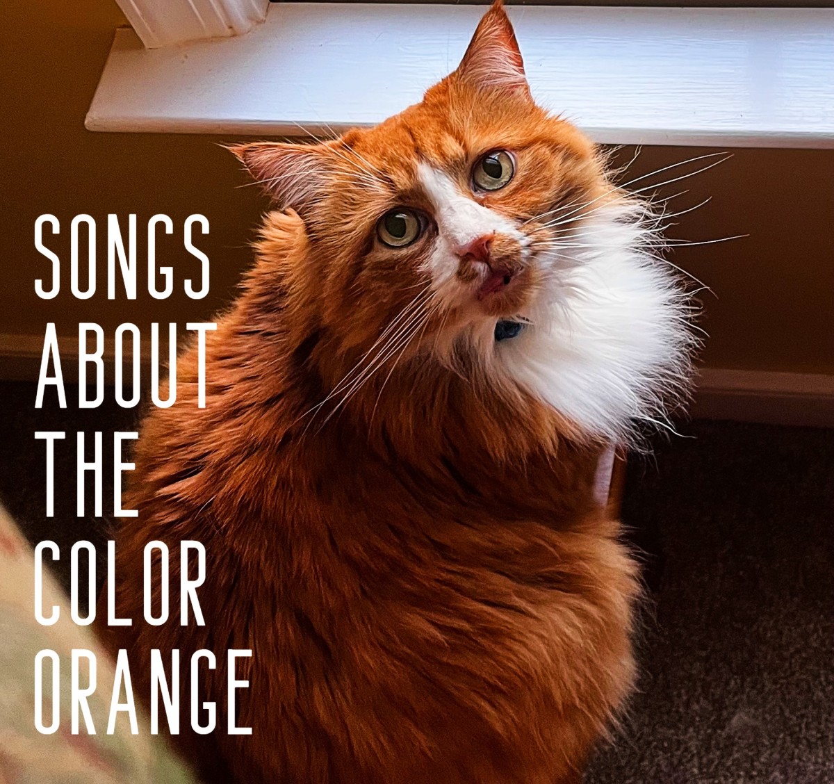 42 Songs About the Color Orange - HubPages