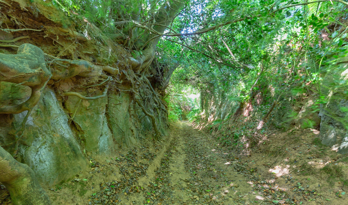 These Ancient Sunken Roadways Still In Use Today Offer Glimpse Into Our ...