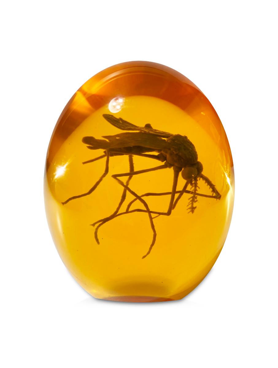 Roaring Through the Ages: A Fun-Fueled Look at Jurassic Park - HubPages