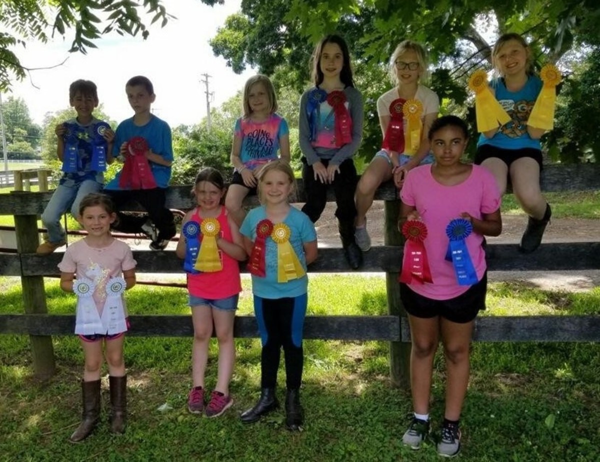 A Fun Way To Teach Kids About Grooming - HubPages