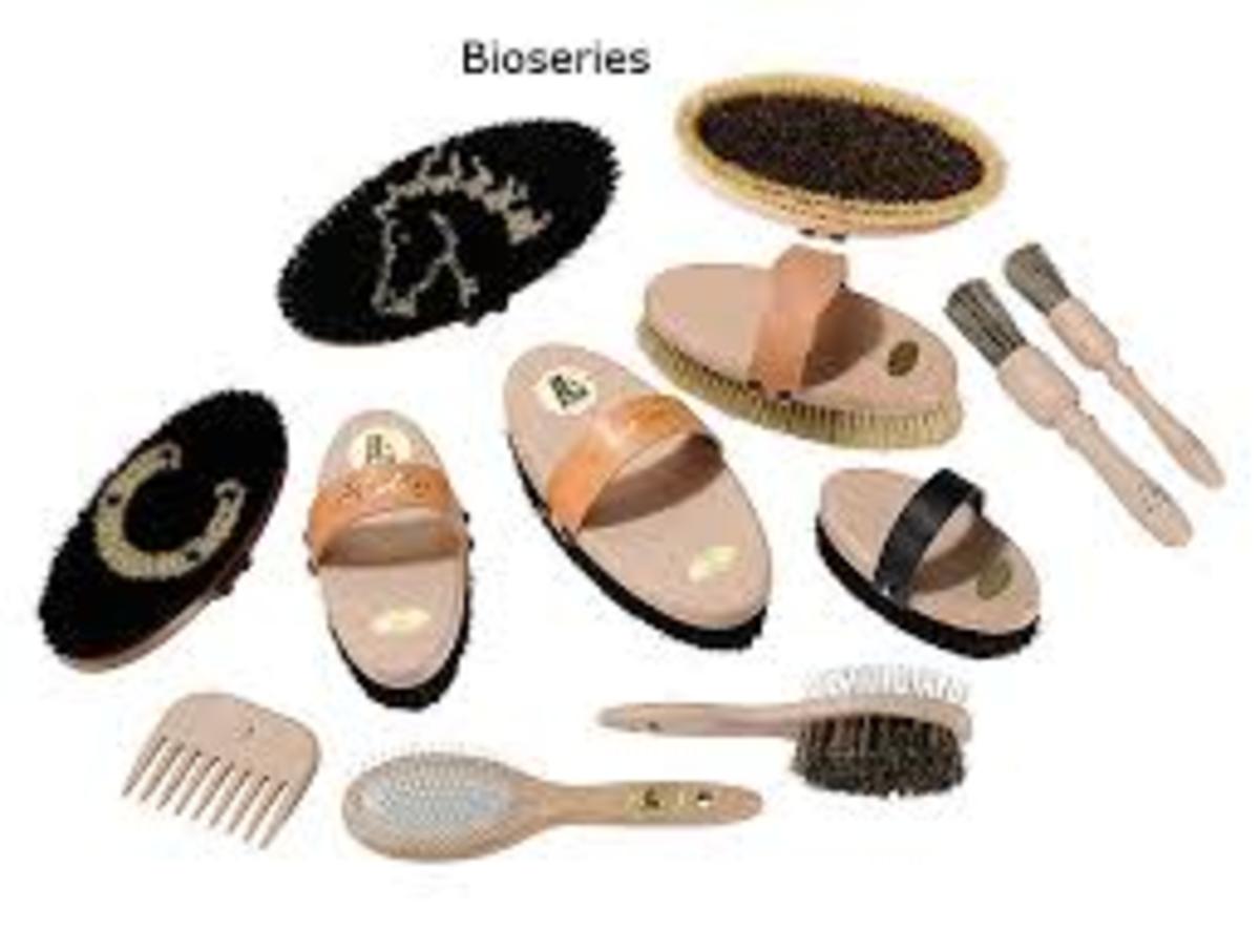 A Fun Way To Teach Kids About Grooming - HubPages