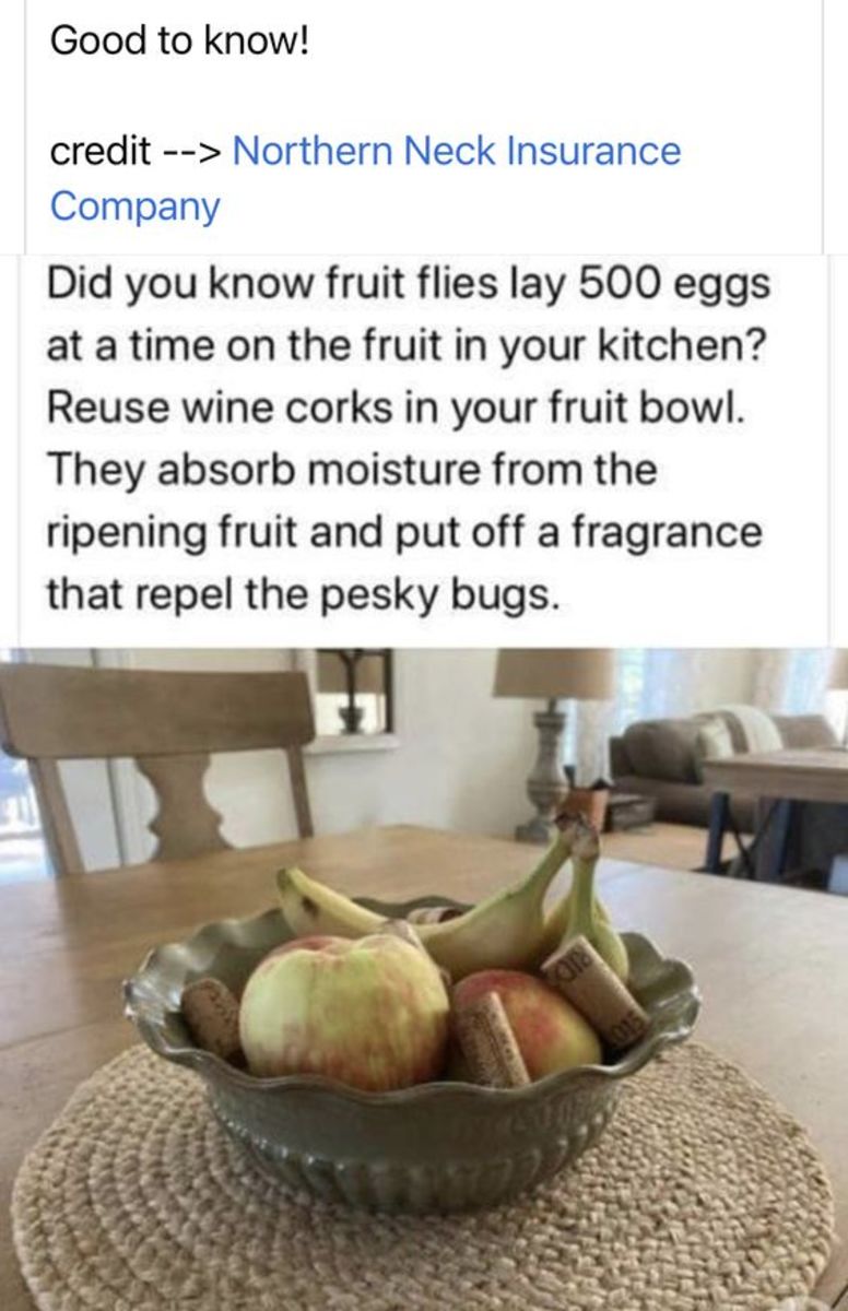 45+ Awesome Food + Kitchen Hacks That Will Save You Time and Money ...