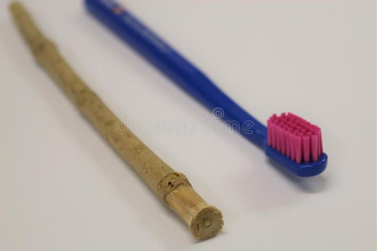 The Medicinal Uses of Salvadora Persica as a Mouth Washer - HubPages