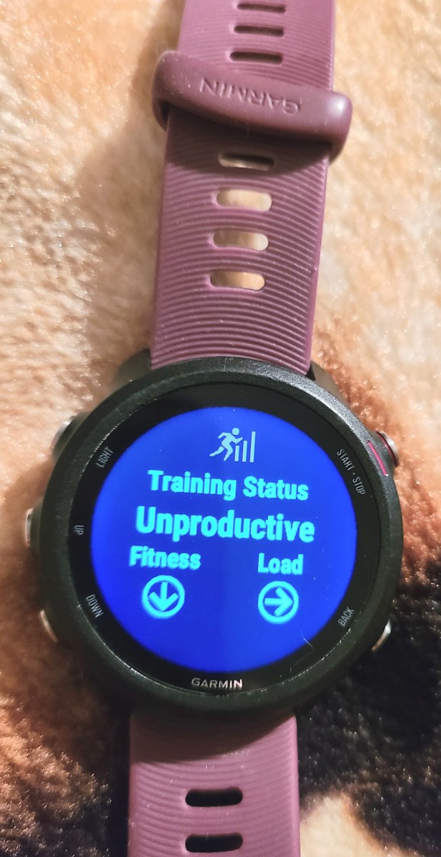 Garmin Verses Fitbit Fitness Tracker Watches - HubPages