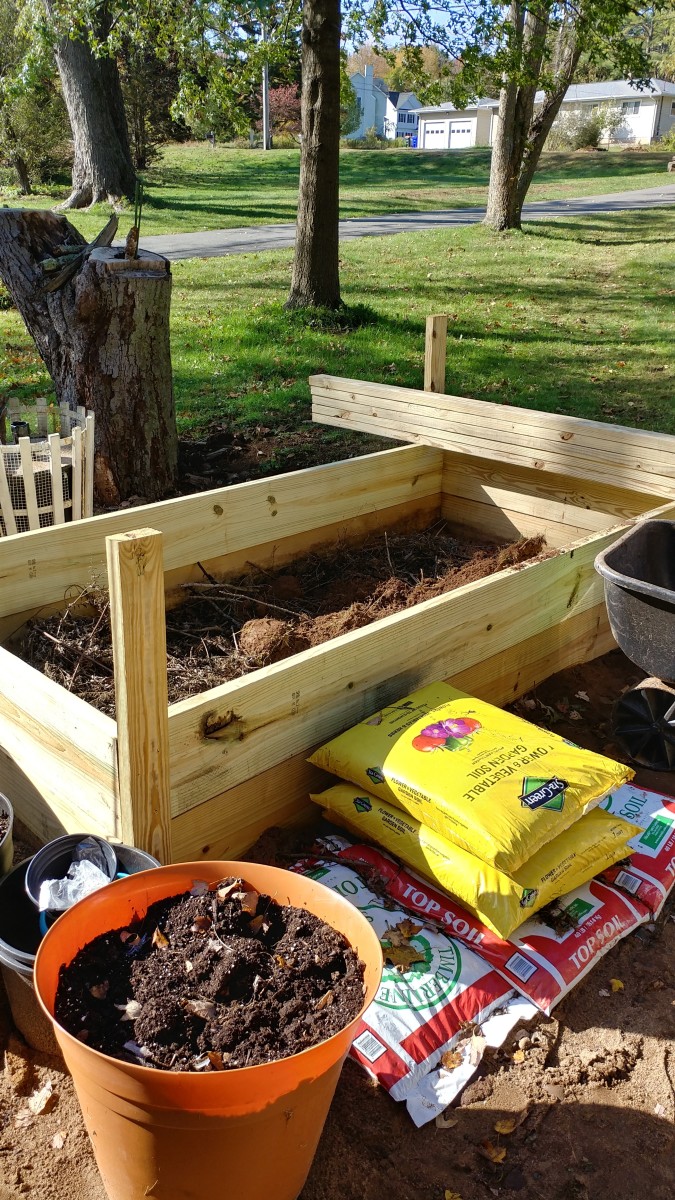 Raised Bed Vegetable Gardening: 5 Easy Tips For Beginners - HubPages