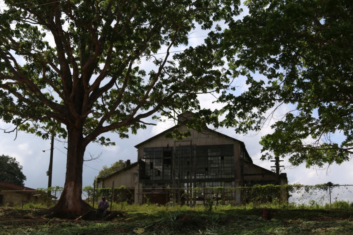 The Fascinating History of Fordlandia, Henry Ford’s Abandoned City ...