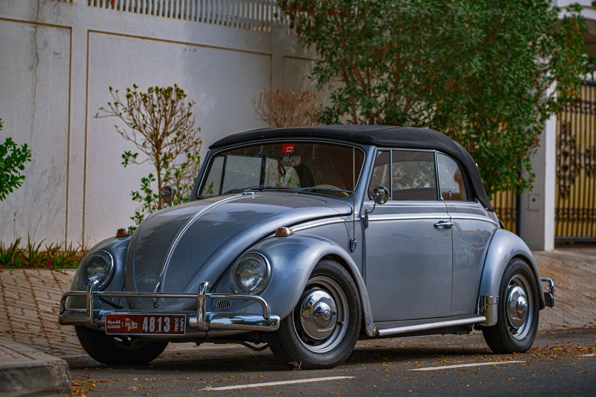 Meet the VW Beetle’s Evil Twin: The Nasty Bug - HubPages