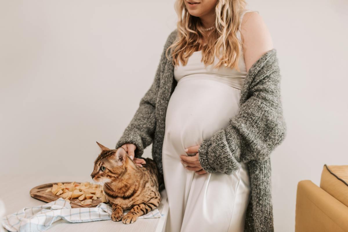 8 Ways to Help Cats Bond With Babies - HubPages