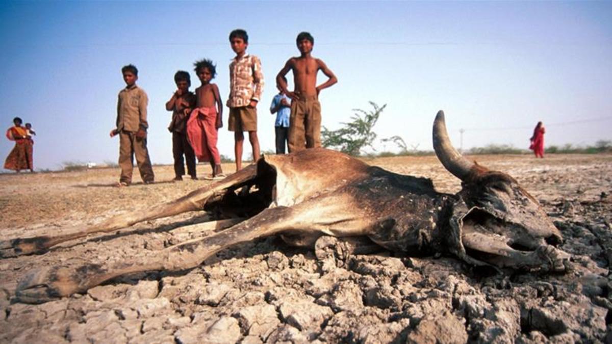 The Threat of Desertification and the Fight for Sustainable Land ...