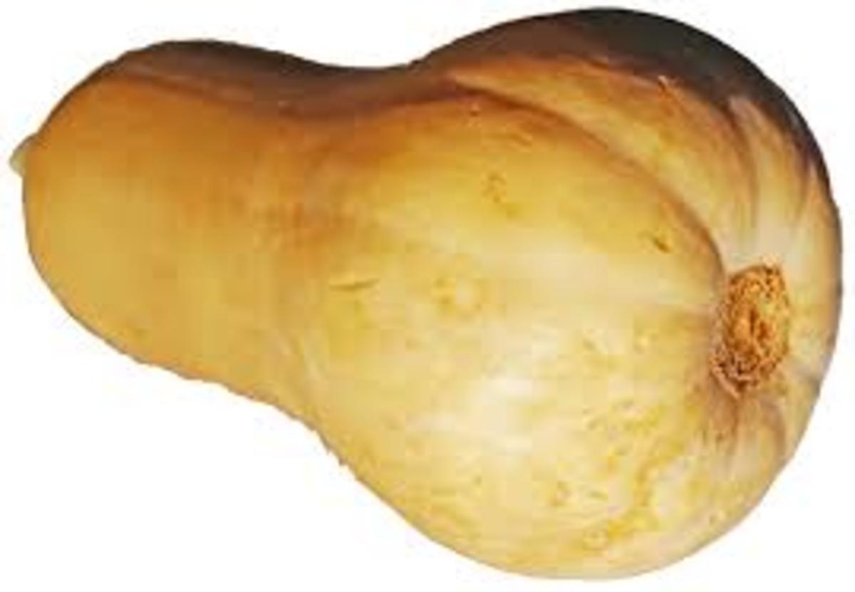 Vertical Squash Gardening: A Beginner's Guide - HubPages