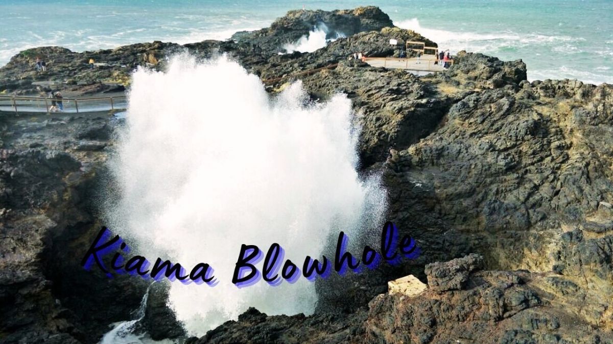 Discover the Majestic Kiama BlowHole, a Natural Wonder - HubPages