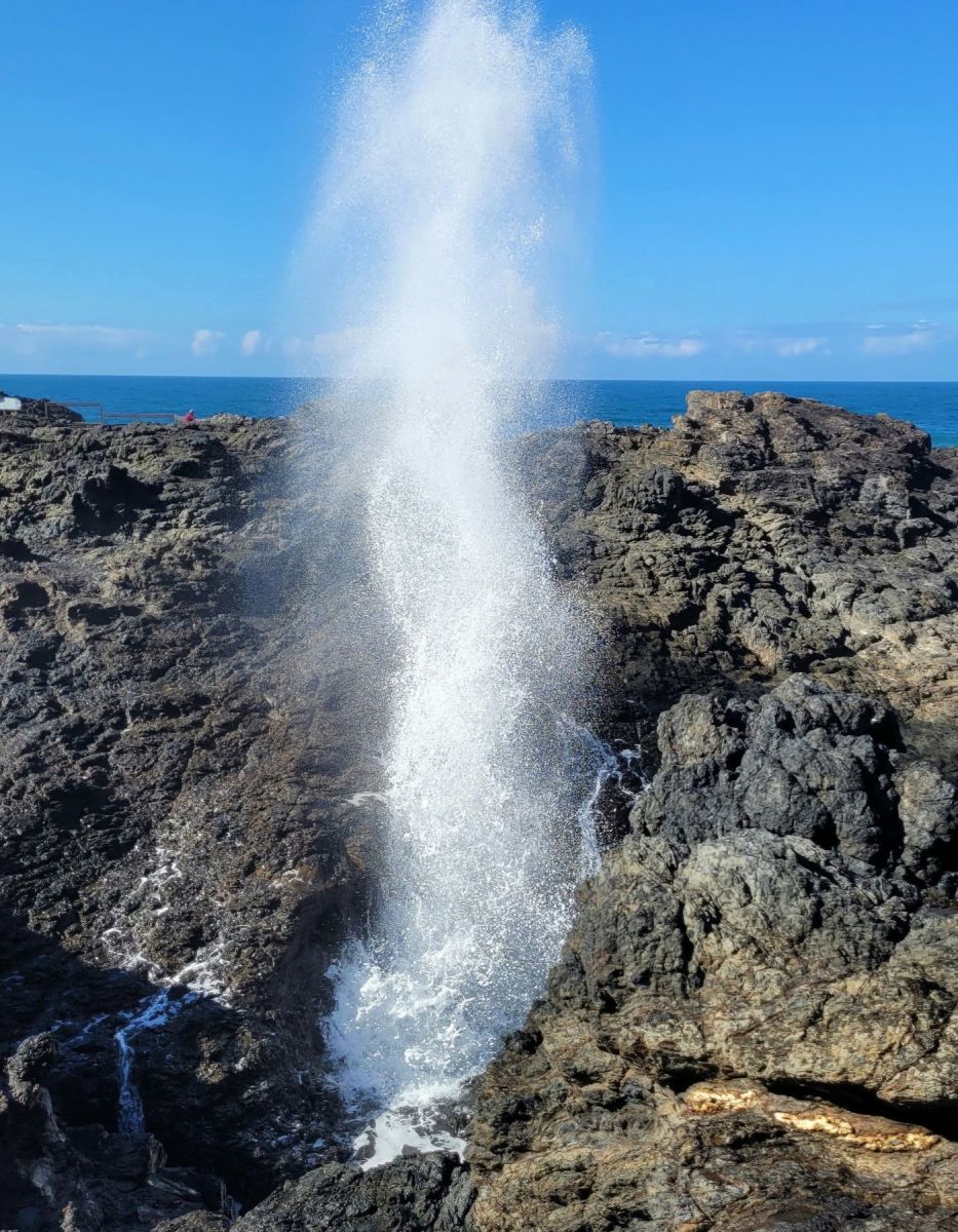 Discover the Majestic Kiama BlowHole, a Natural Wonder - HubPages