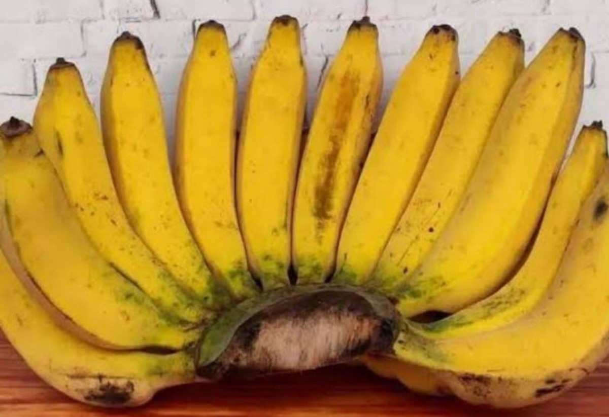 Pisang Goreng, Snack for Every Occasion - HubPages