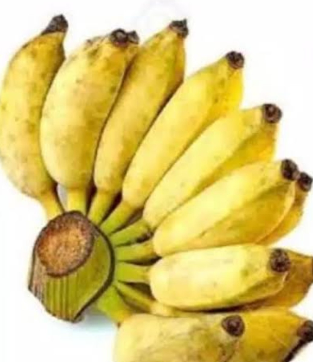 Pisang Goreng, Snack for Every Occasion - HubPages