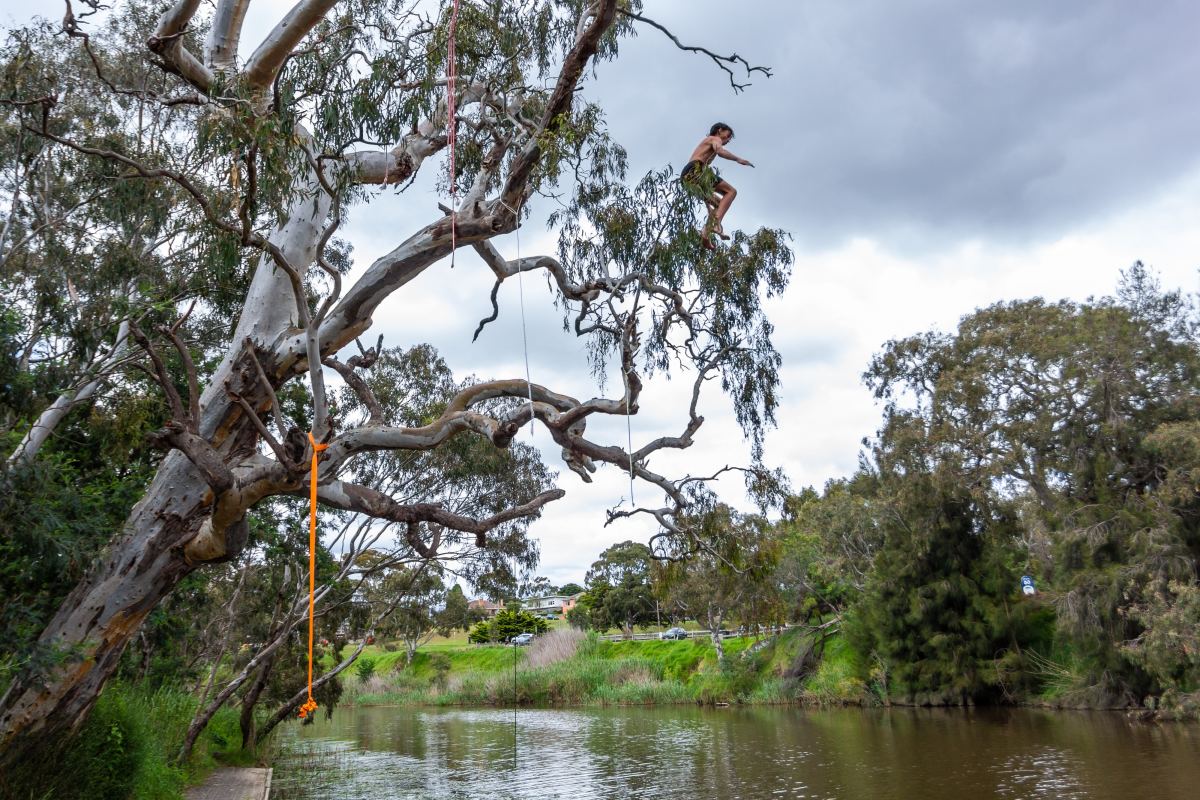 Woman Caught Sight of Creepy Child Scaling Trees in Woods - HubPages