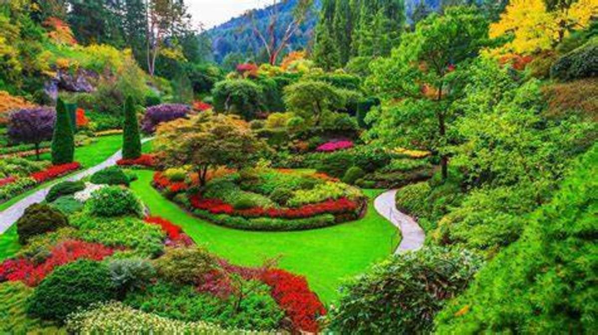 Exploring Must-See Locations in Victoria, BC: The Jewel of Pacific ...