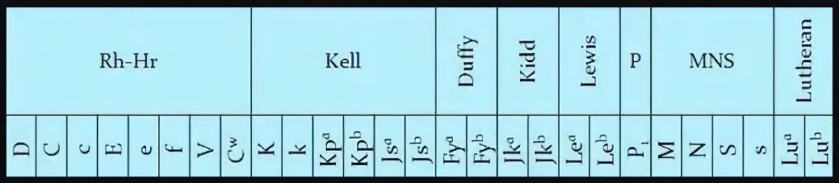 The Top 10 'Rare' Blood Types: A Guide for Transfusion Services ...