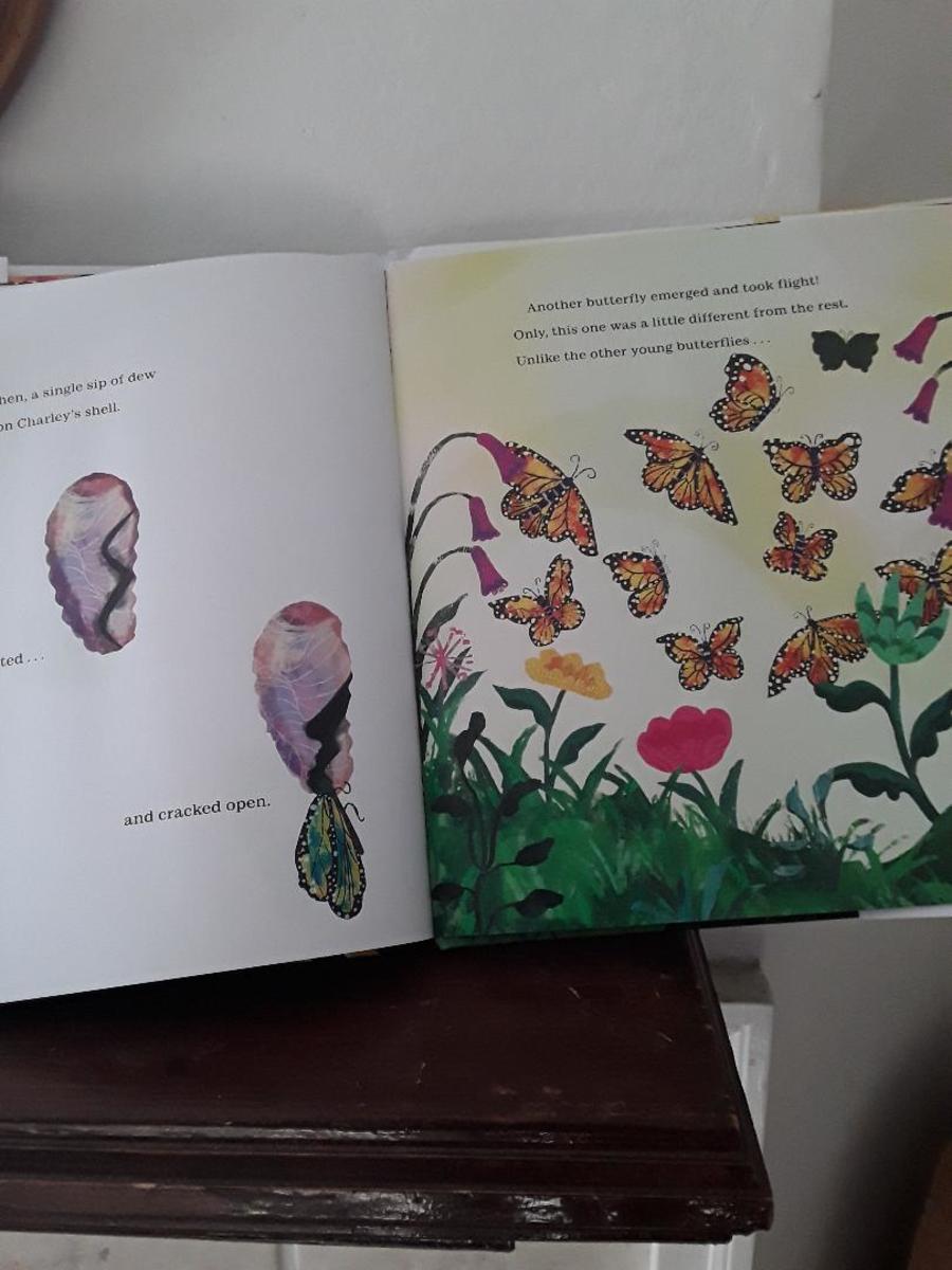 Caterpillar Becomes the Butterfly That He Wants to Be in Beautifully ...