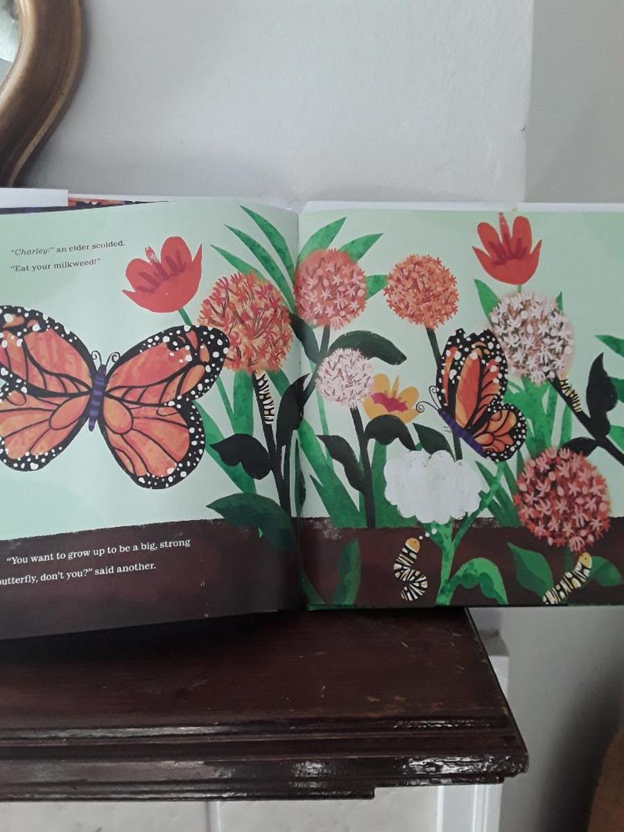 Caterpillar Becomes the Butterfly That He Wants to Be in Beautifully ...