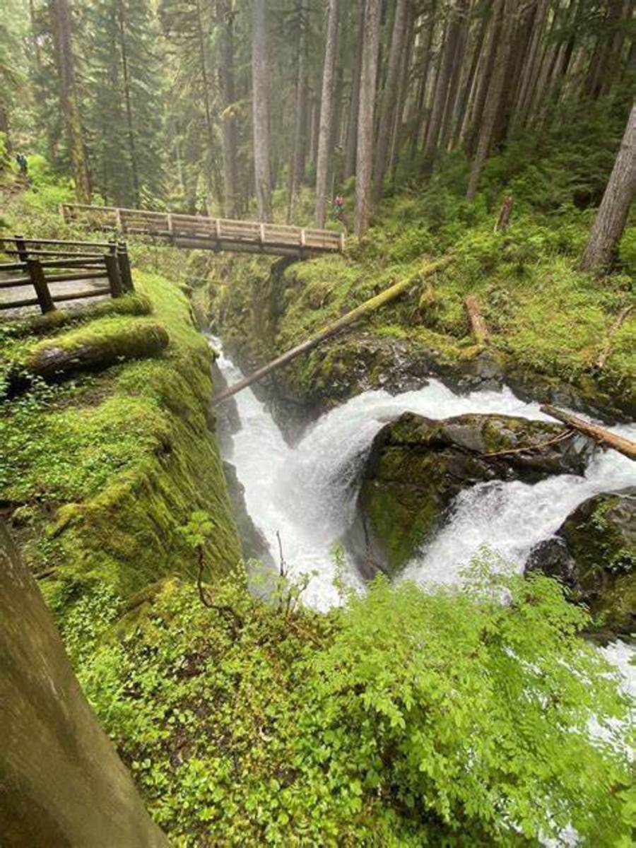 Explore Olympic National Park: A Comprehensive Guide - HubPages