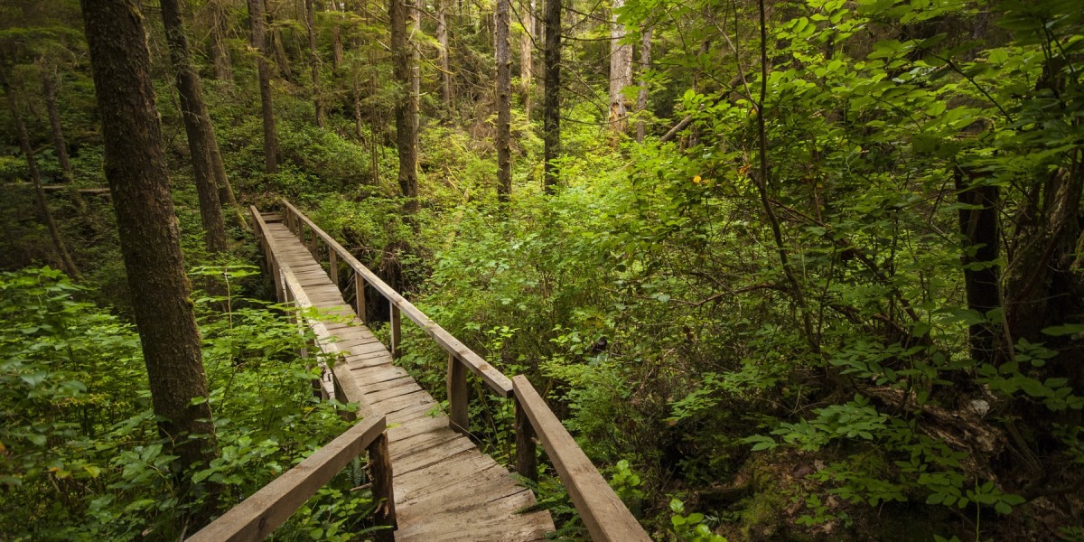 Explore Olympic National Park: A Comprehensive Guide - HubPages