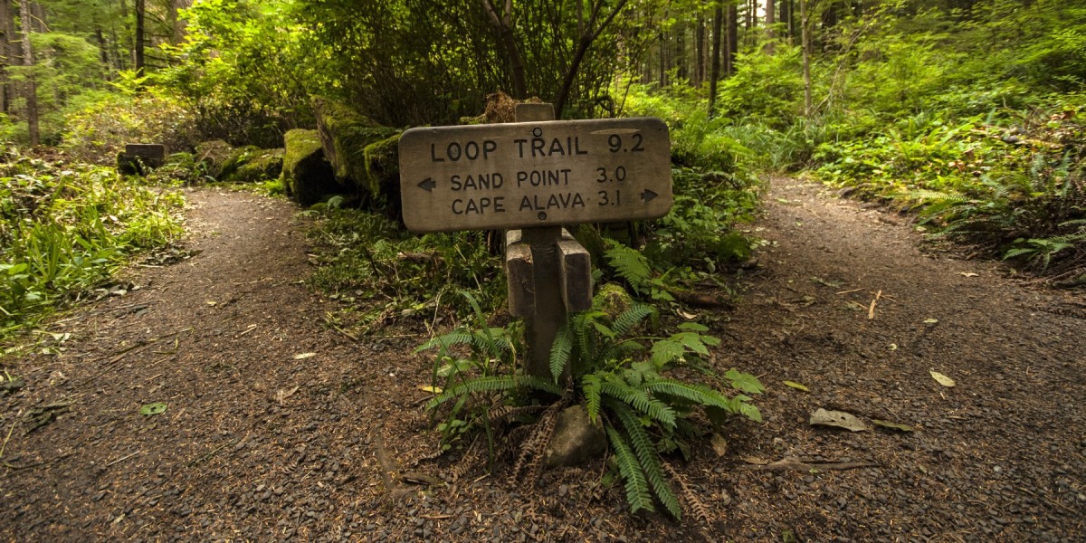 Explore Olympic National Park: A Comprehensive Guide - HubPages