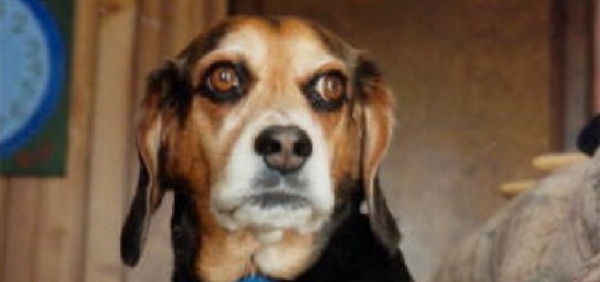 Original Poem: "Alex as Artist" and Prose Commentary - HubPages