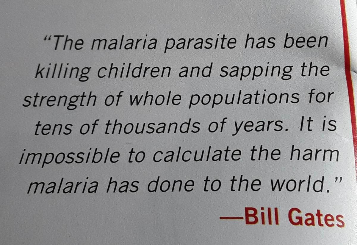 Time to Learn The Danger of Malaria And How to Protect You And Your ...