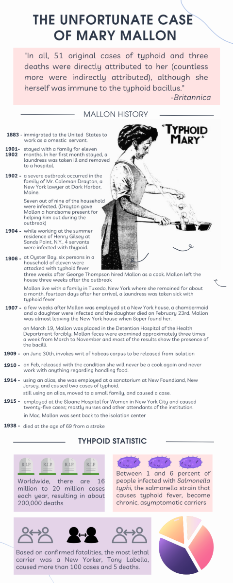 The Unfortunate Case of Mary Mallon - HubPages