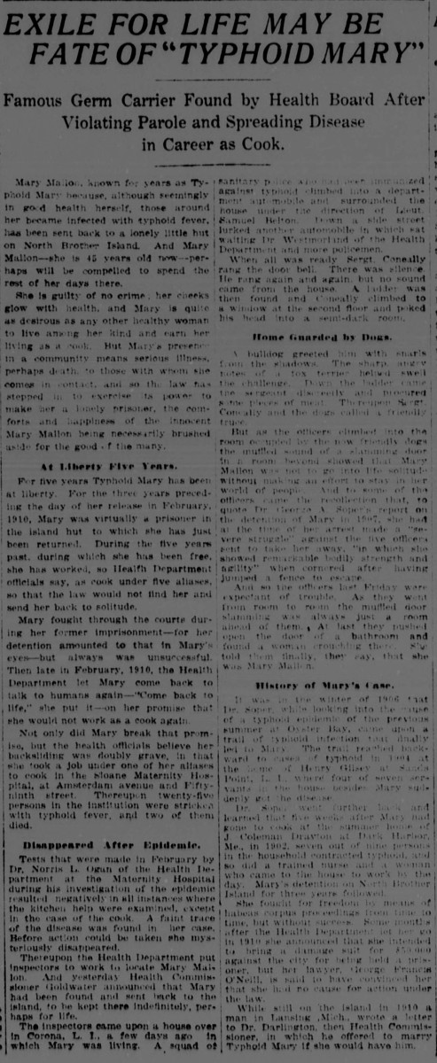 The Unfortunate Case of Mary Mallon - HubPages