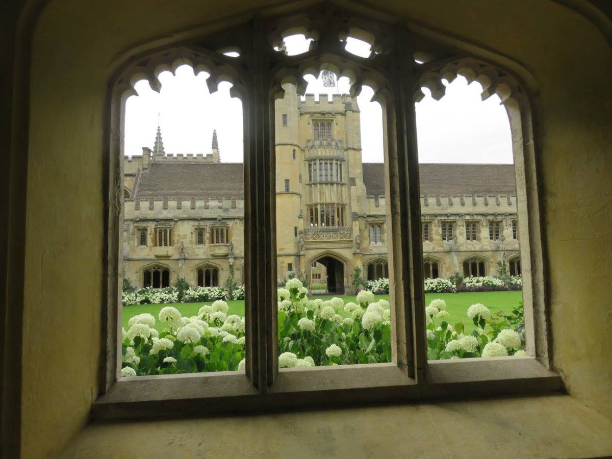 My Experience With Atrial Fibrillation (AFib) and Ablation - HubPages