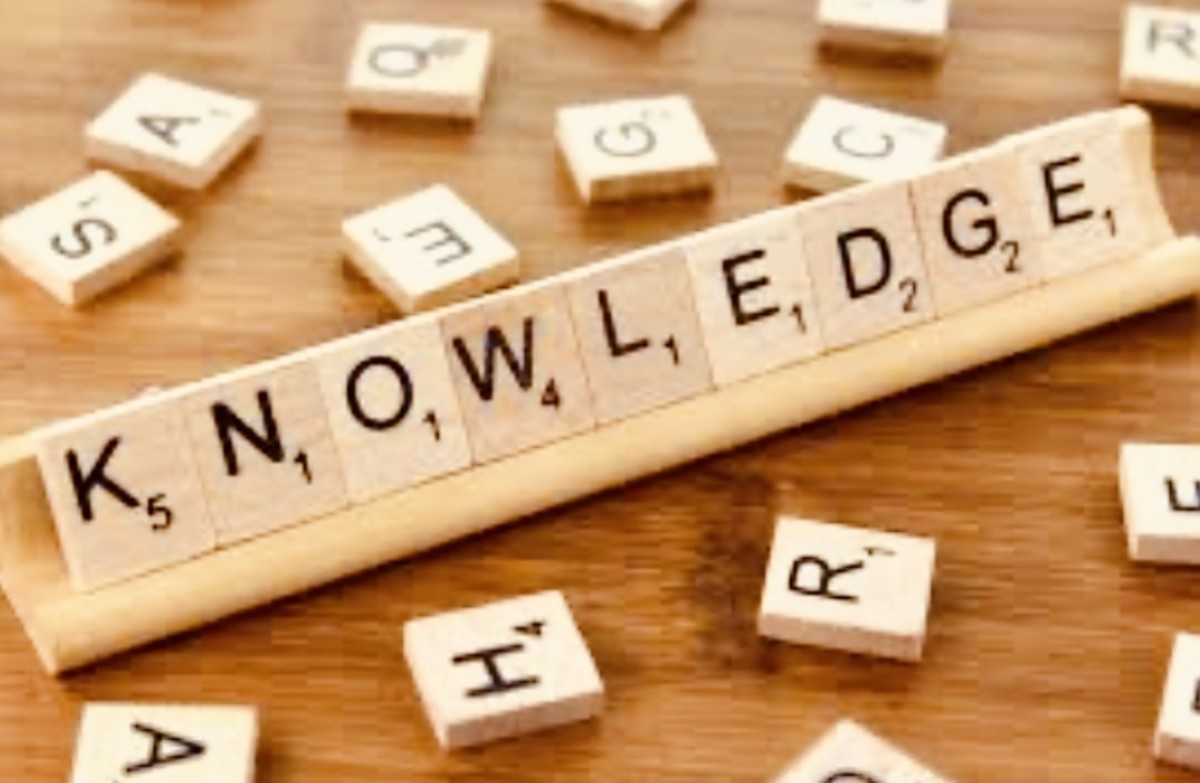 Avoiding the Error of the Unprincipled - HubPages