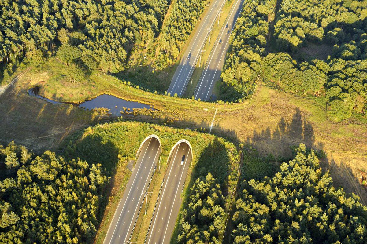 Innovative Wildlife Crossings - HubPages
