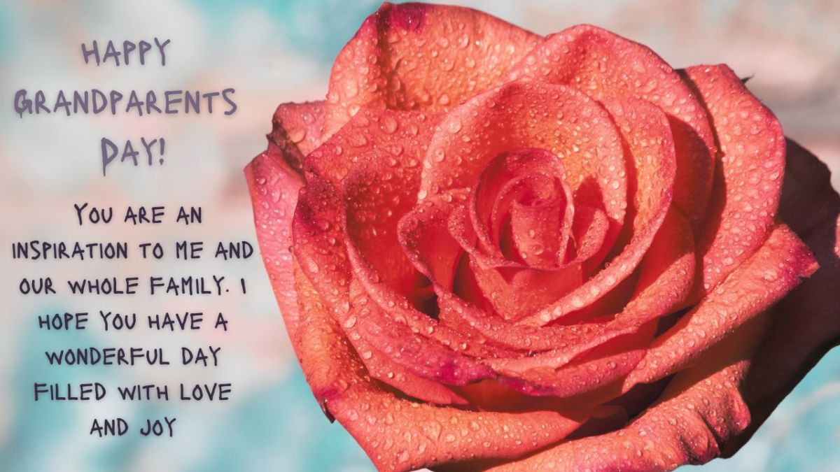 36 Sweet Messages and Images to Share on Grandparents Day - Holidappy