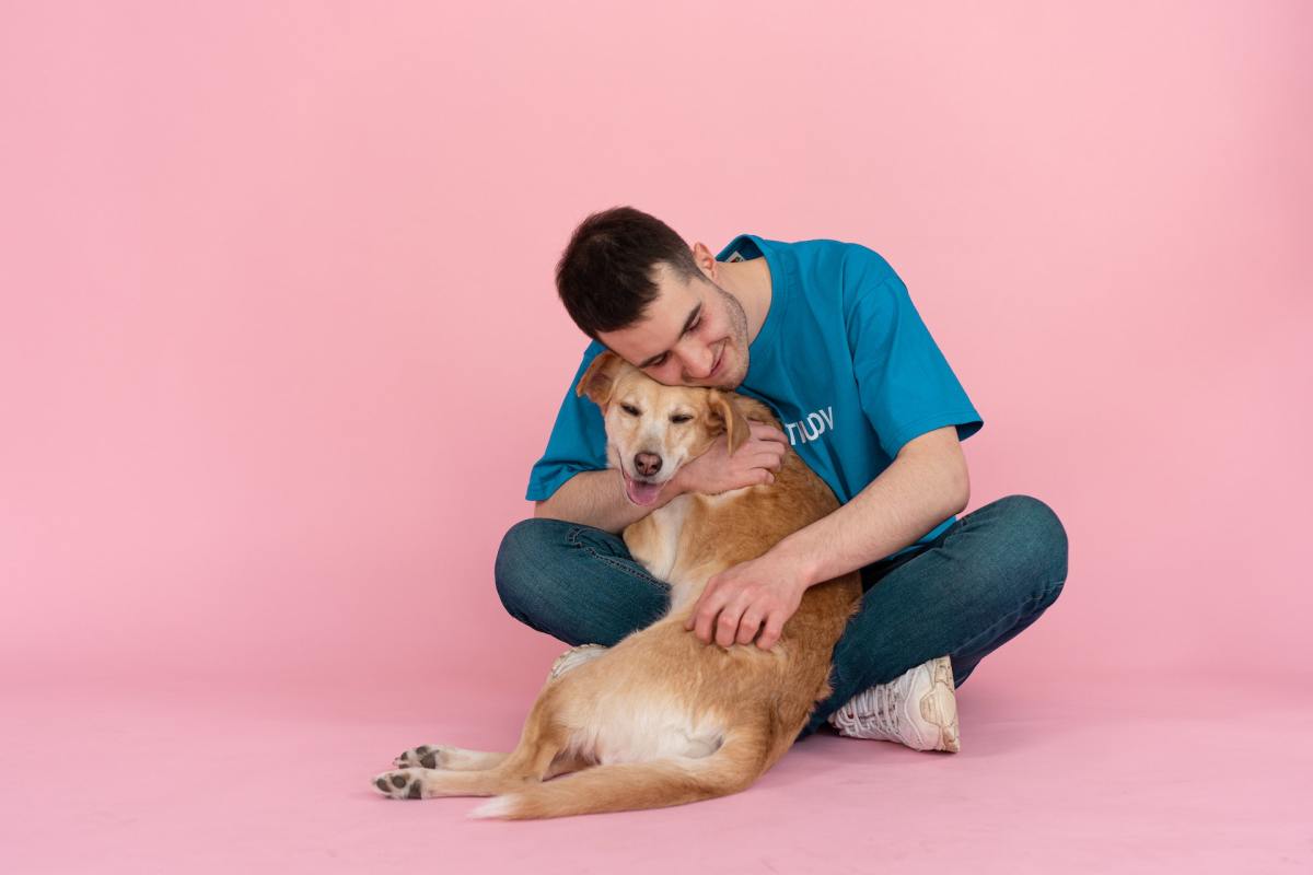 What You Need To Know Before Adopting A Pet HubPages