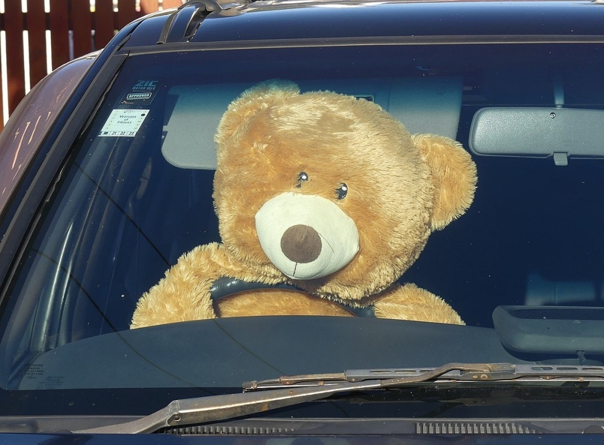 11 Cute Ways to Make Your Car More Girly and Glamorous - HubPages
