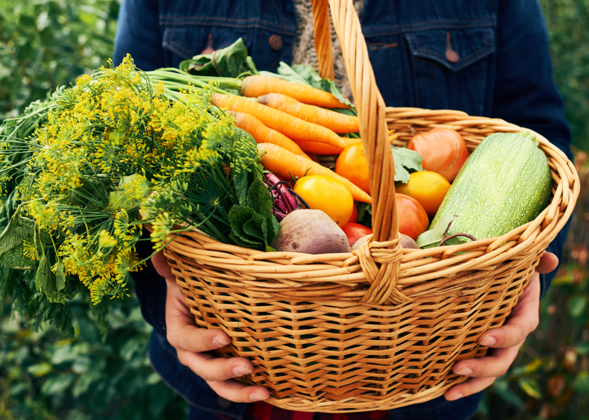 Bartering: A Frugal and Environmentally Conscious Lifestyle Choice ...