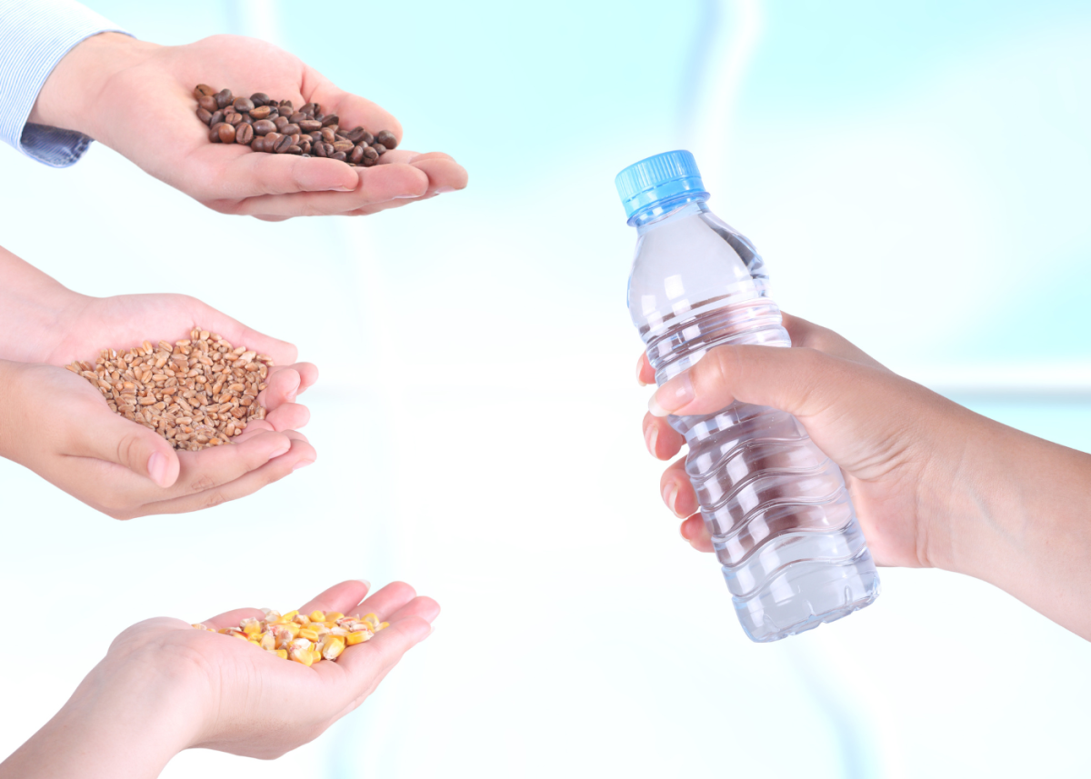Bartering: A Frugal and Environmentally Conscious Lifestyle Choice ...