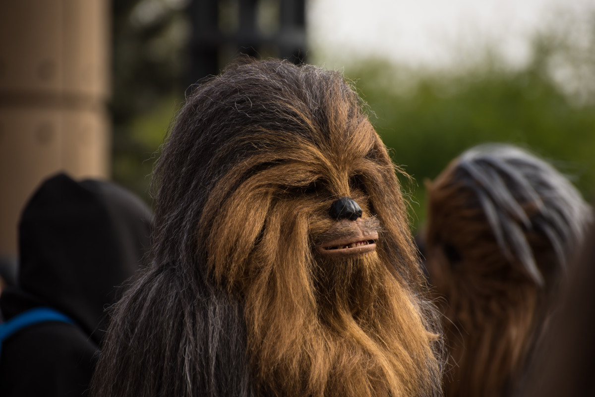 Wookie Actor Comes Across Mini Wookie at Disney and Their Reaction Is ...