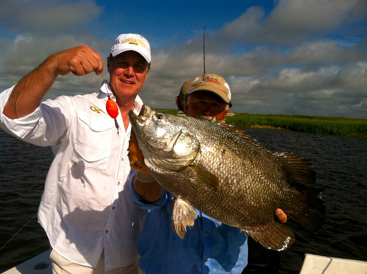 Tripletail Fishing: Tips and Tactics - HubPages