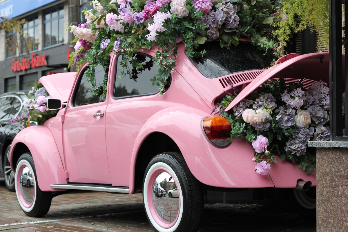 Fully Restored Vintage Volkswagen Beetle Shines in Pretty Pink with ...