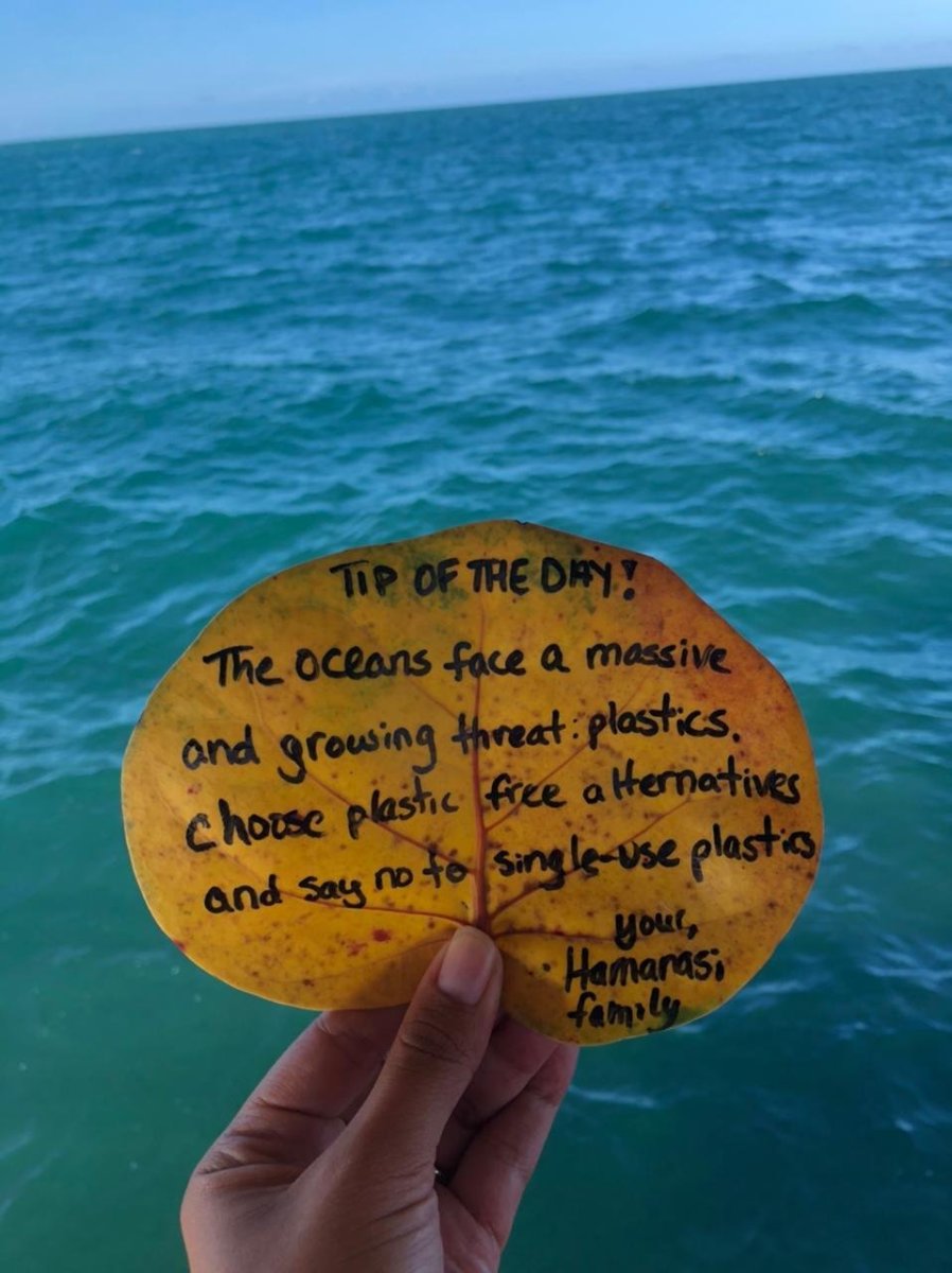 What Is Responsible Tourism And Why is It Important? - HubPages