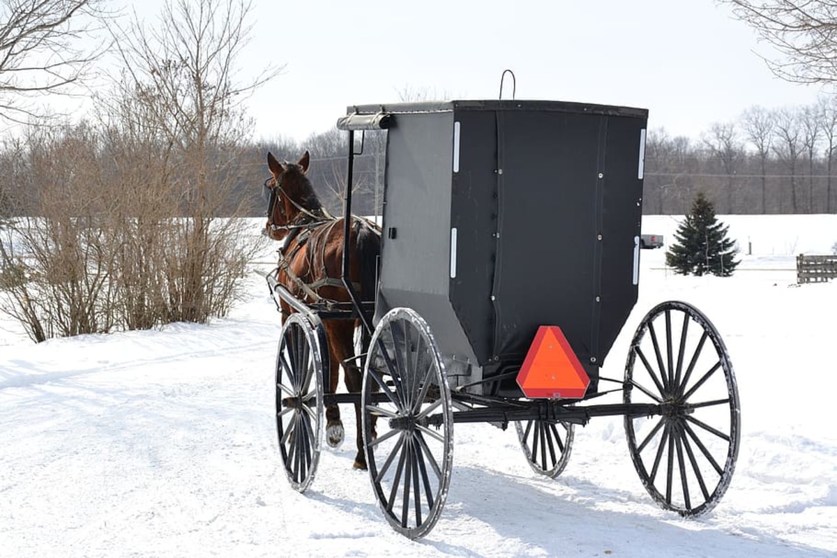 A Simple Christmas is a Favorite in Growing Amish Communities - With ...