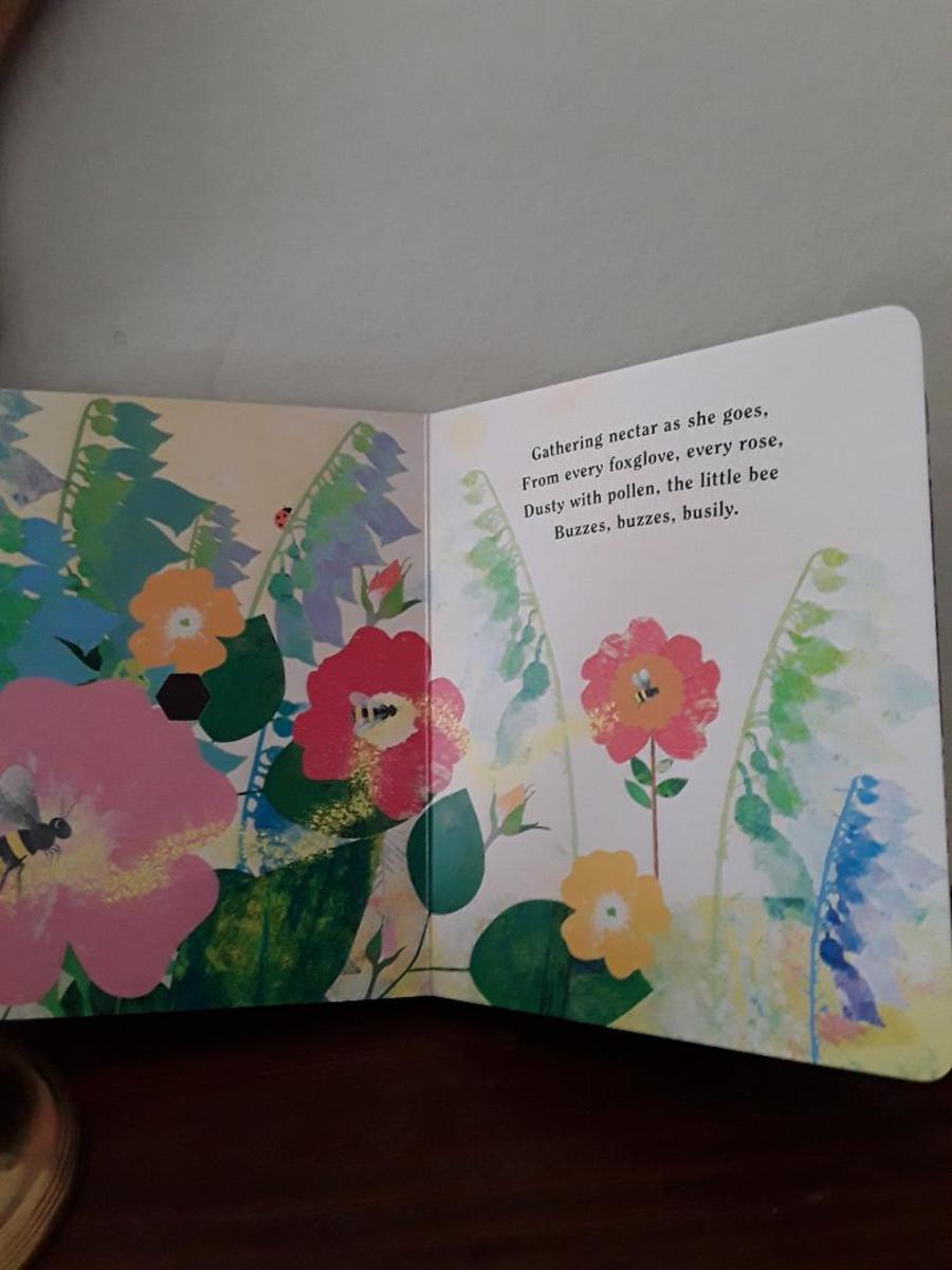 Bugs and Bees Are a Big Part of Our World as Depicted in 2 Peek-a-Boo ...