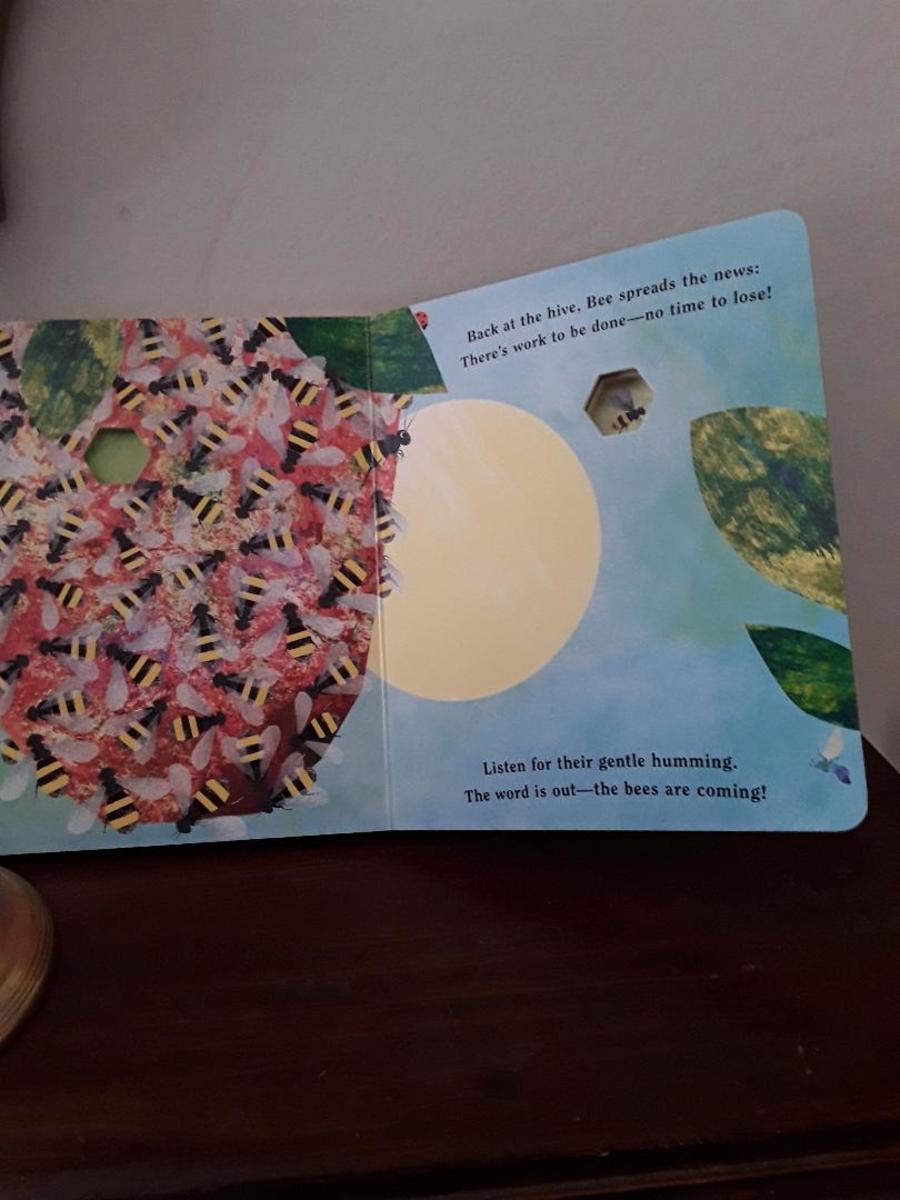 Bugs and Bees Are a Big Part of Our World as Depicted in 2 Peek-a-Boo ...