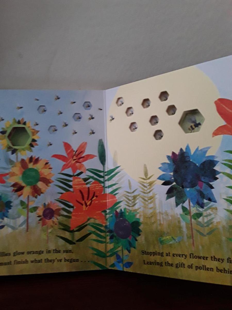 Bugs and Bees Are a Big Part of Our World as Depicted in 2 Peek-a-Boo ...