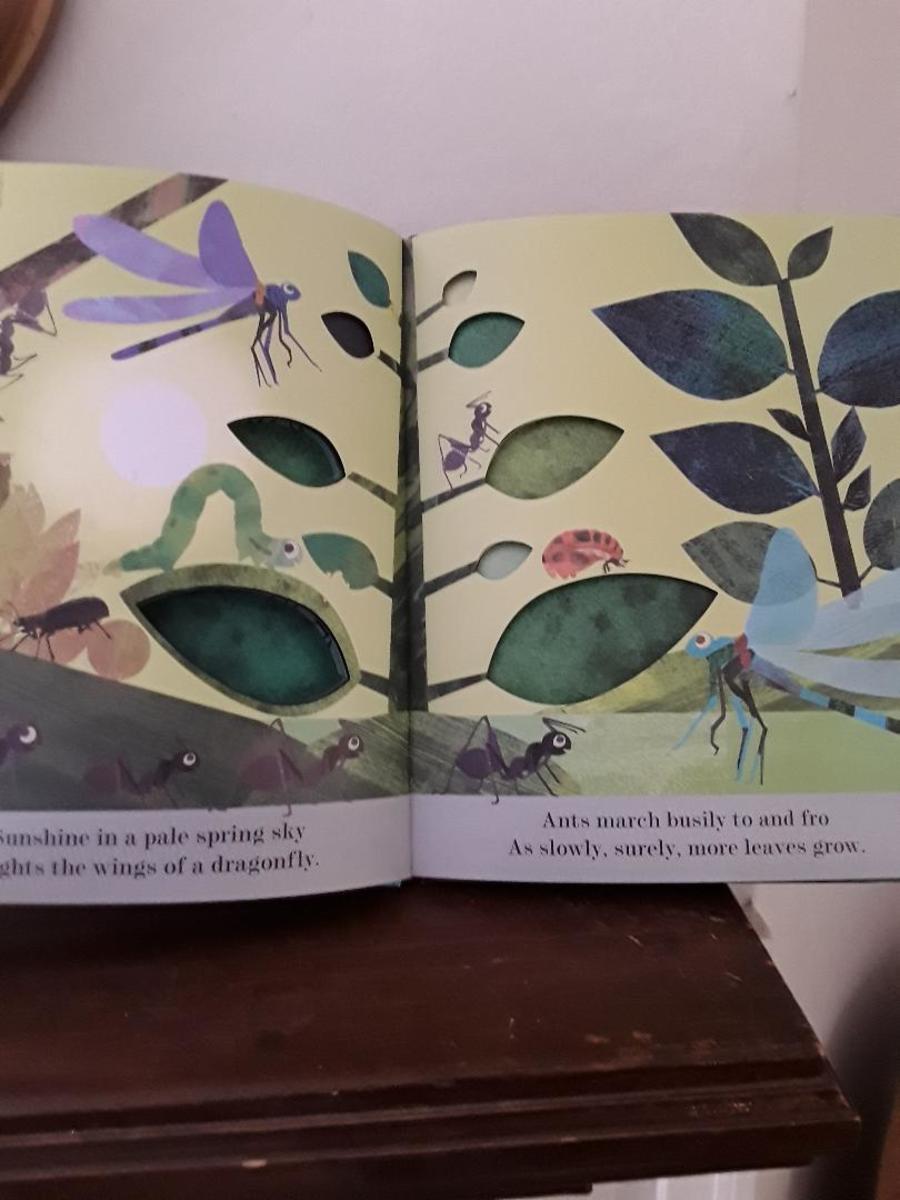 Bugs and Bees Are a Big Part of Our World as Depicted in 2 Peek-a-Boo ...
