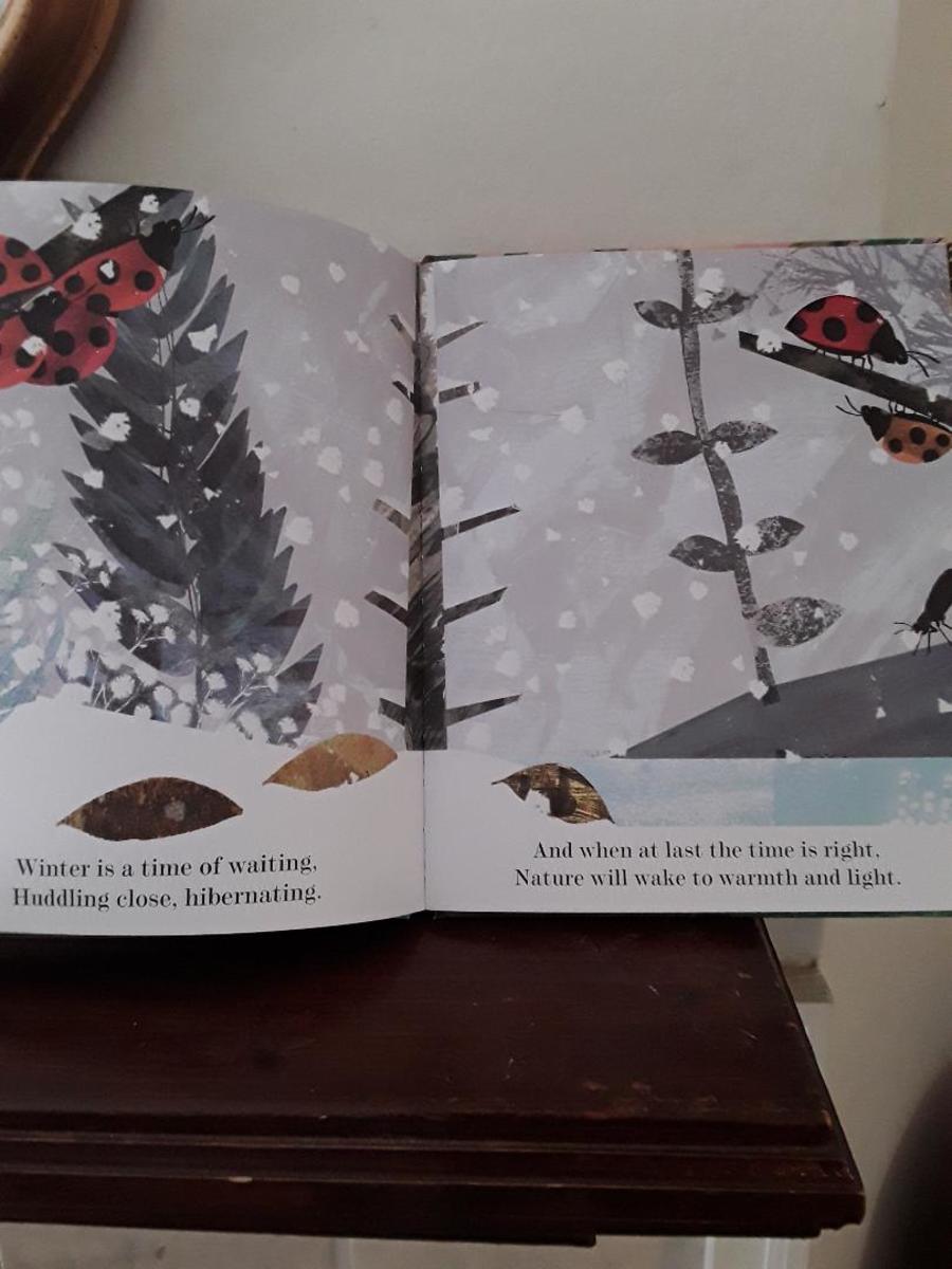 Bugs and Bees Are a Big Part of Our World as Depicted in 2 Peek-a-Boo Picture Books and Stories ...