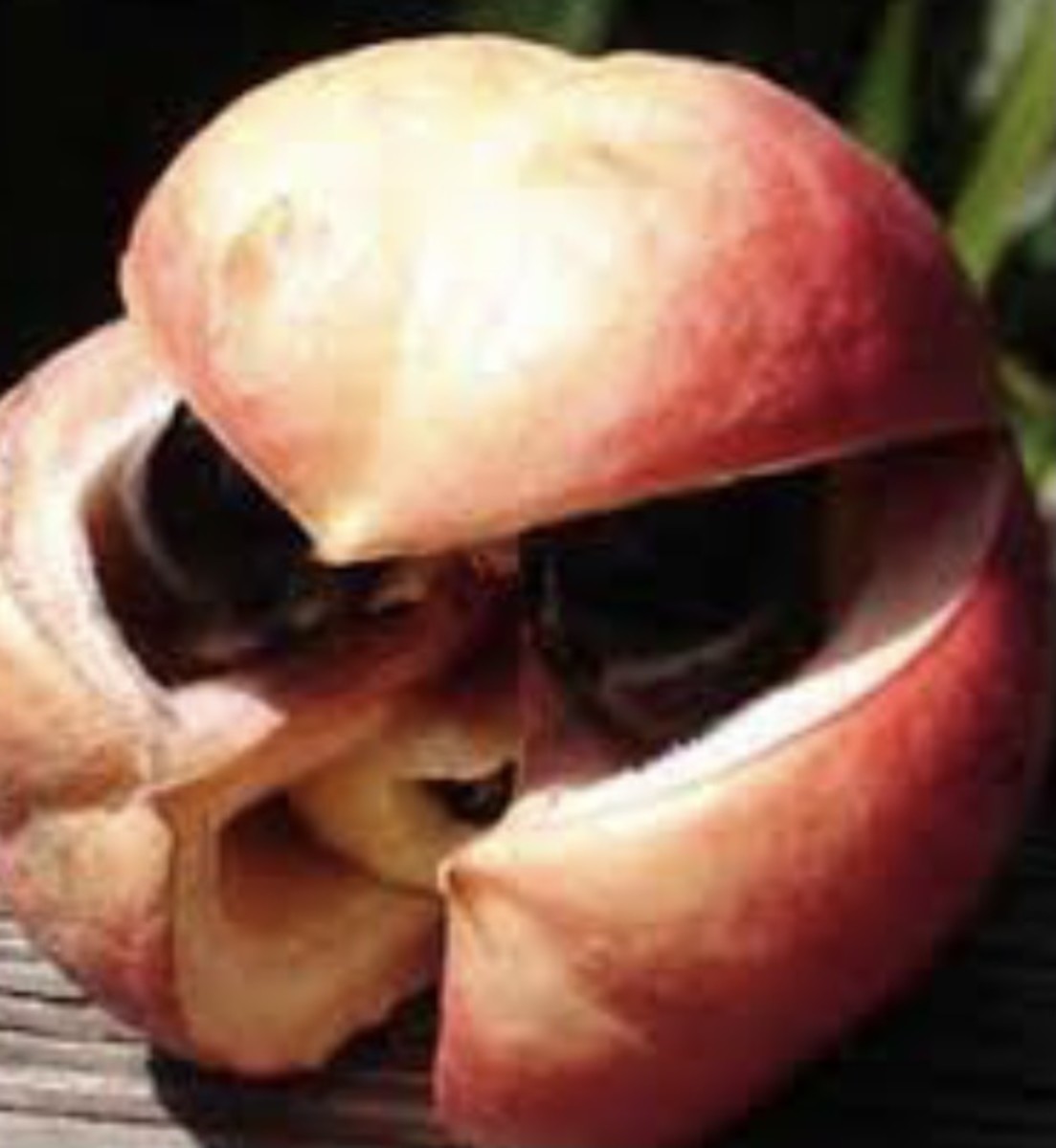 10 Most Weird Fruits in the World - HubPages